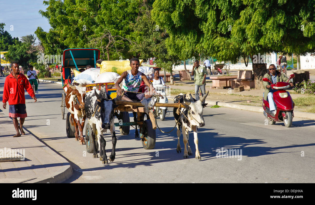 Real life in madagascar -Fotos und -Bildmaterial in hoher Auflösung – Alamy