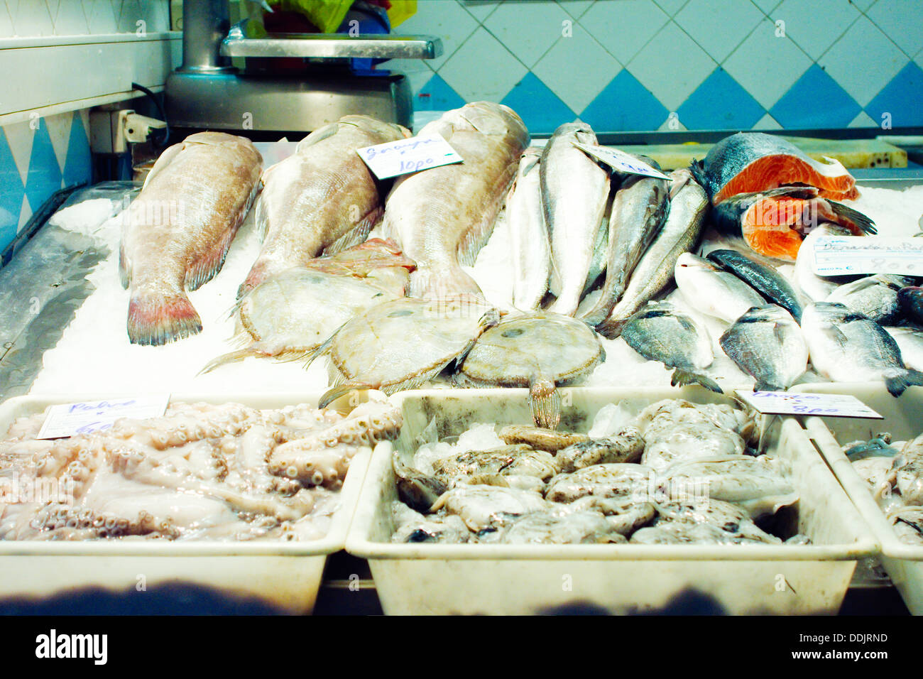 Lisbon fish market -Fotos und -Bildmaterial in hoher Auflösung – Alamy