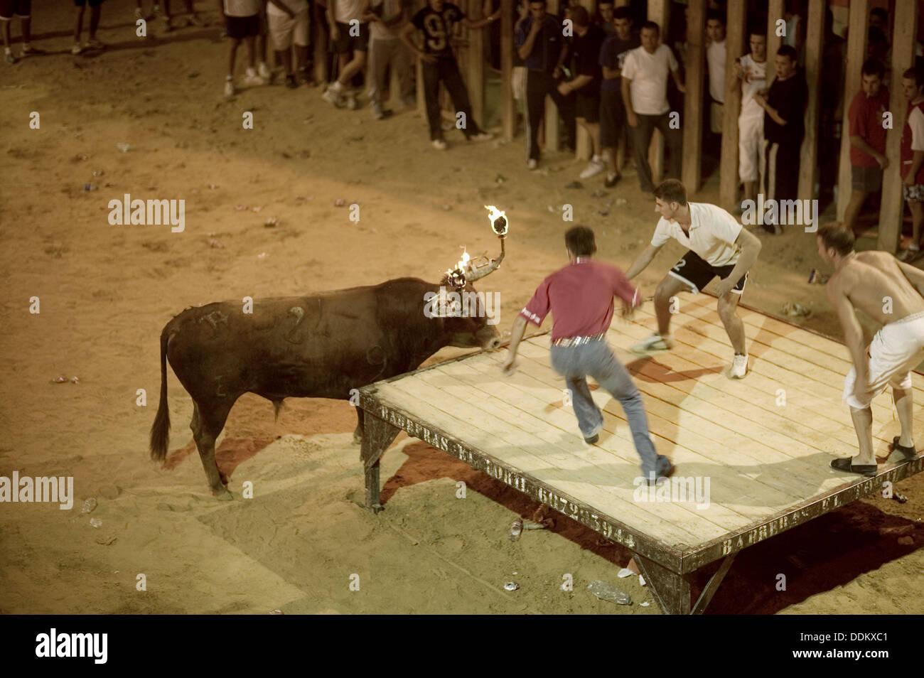 ´TORO Embolado´ (Bull mit Feuer in den Hörnern) während traditionelle ...