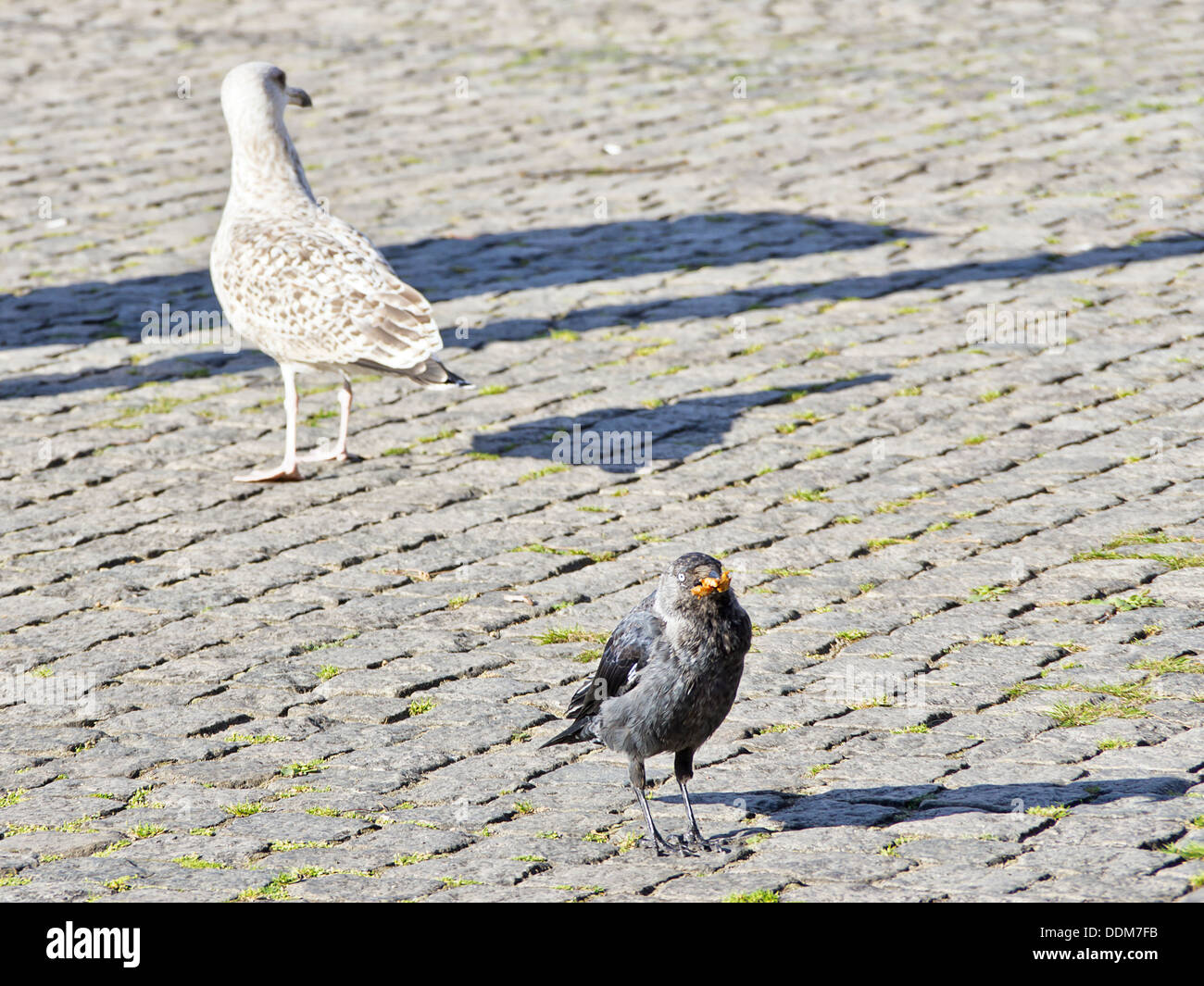 Schmutziger ort -Fotos und -Bildmaterial in hoher Auflösung – Alamy