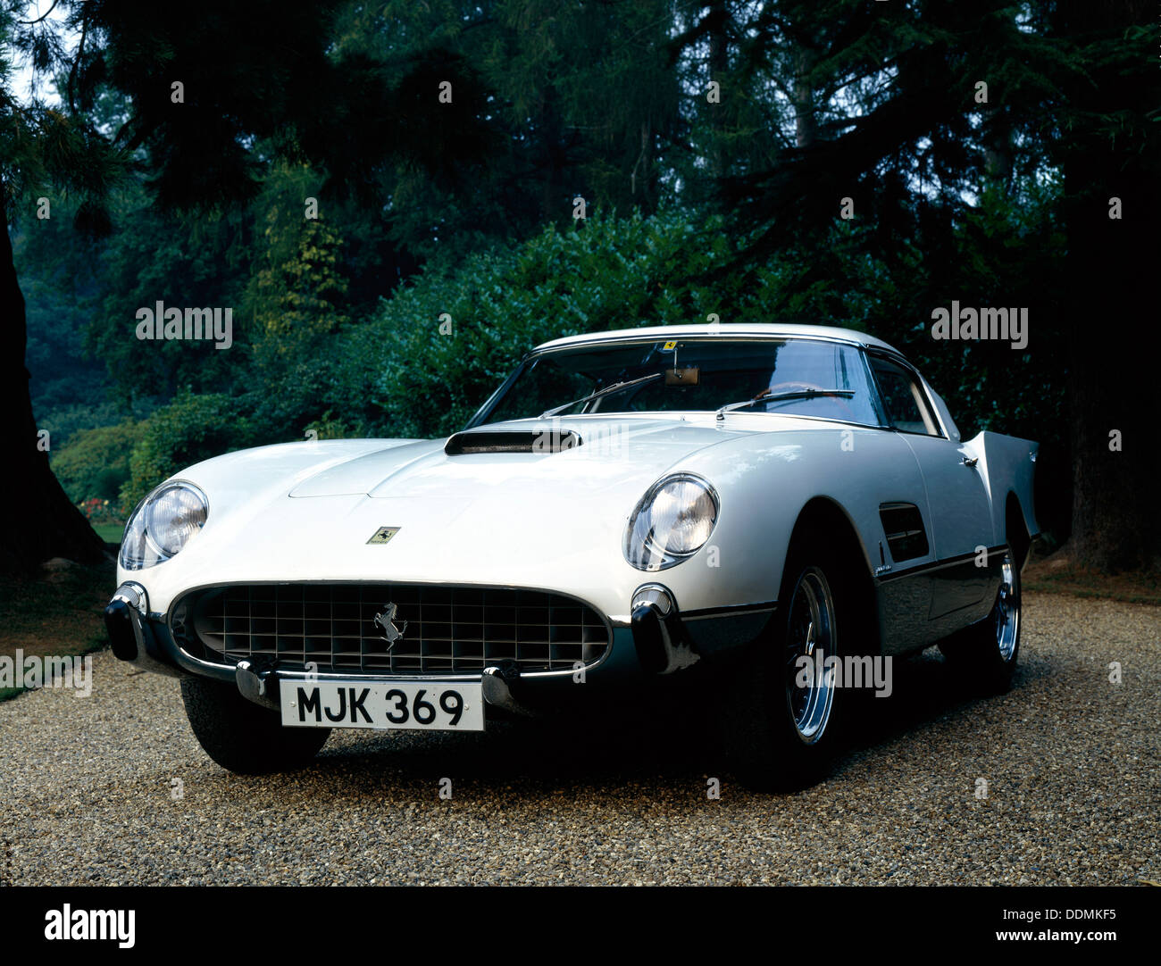 Ferrari tipo -Fotos und -Bildmaterial in hoher Auflösung – Alamy