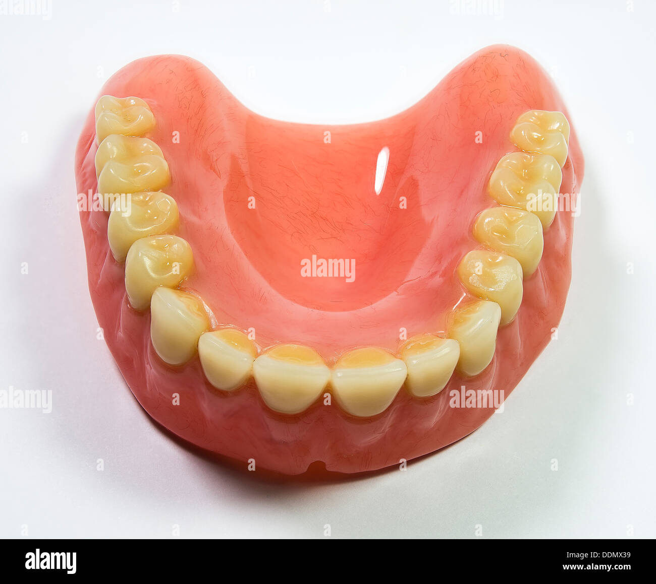 Zahnersatz fertigen -Fotos und -Bildmaterial in hoher Auflösung – Alamy