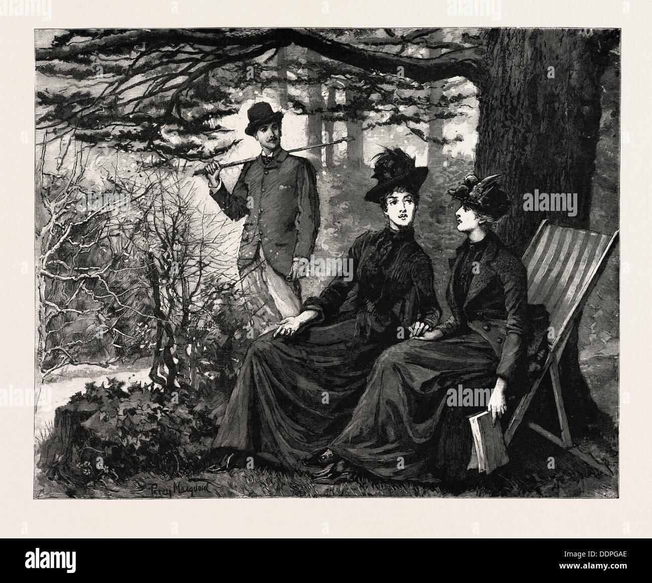 GEZEICHNET von PERCY MACOUOID, der große alte Zeder, Percy Macquoid ...