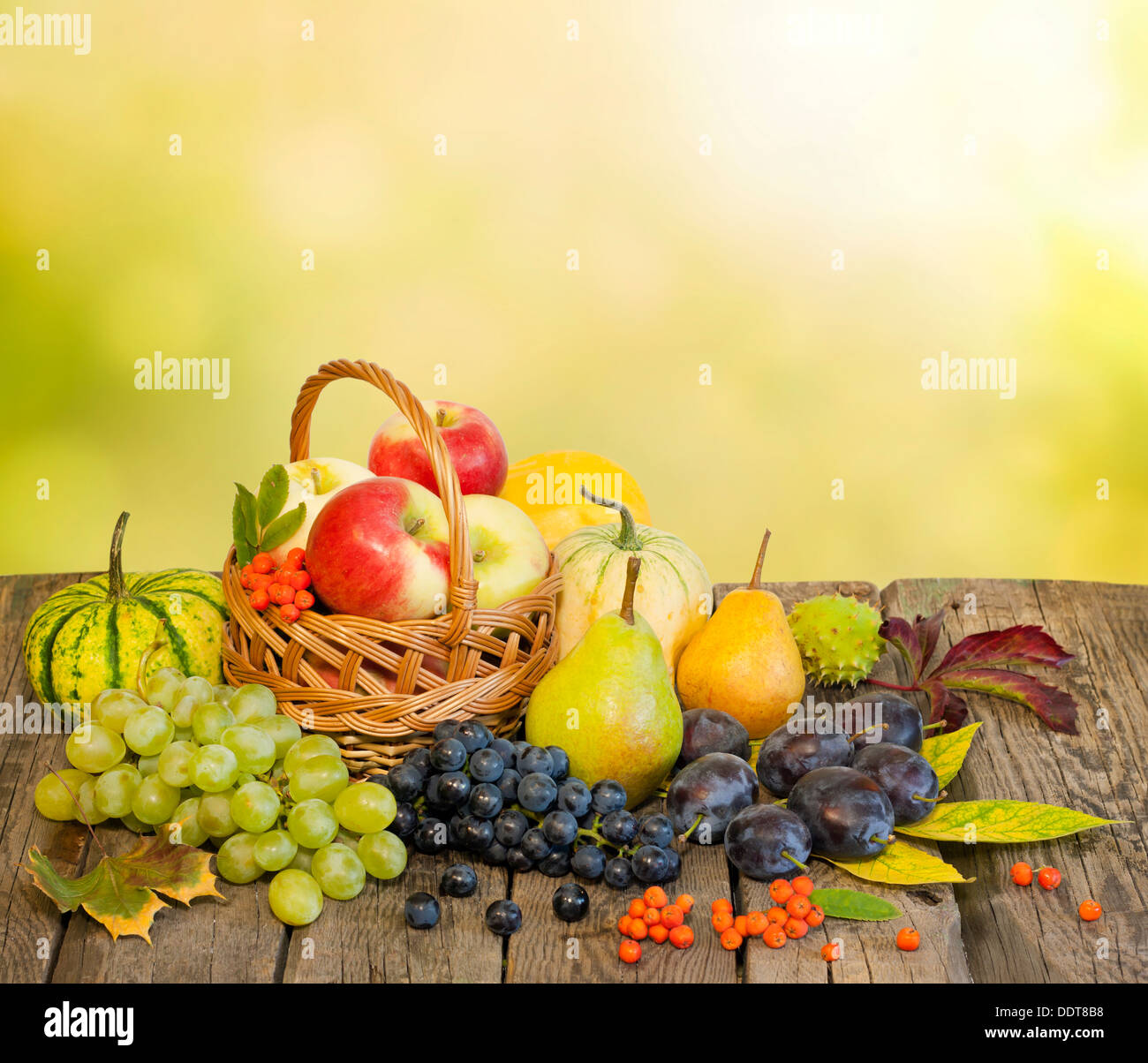 Vintage obst -Fotos und -Bildmaterial in hoher Auflösung – Alamy