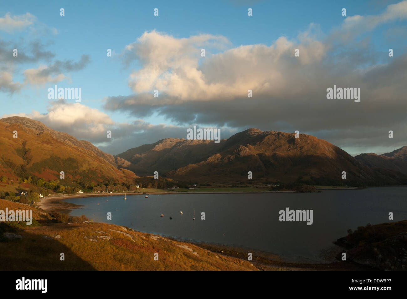 Arnisdale bucht -Fotos und -Bildmaterial in hoher Auflösung – Alamy