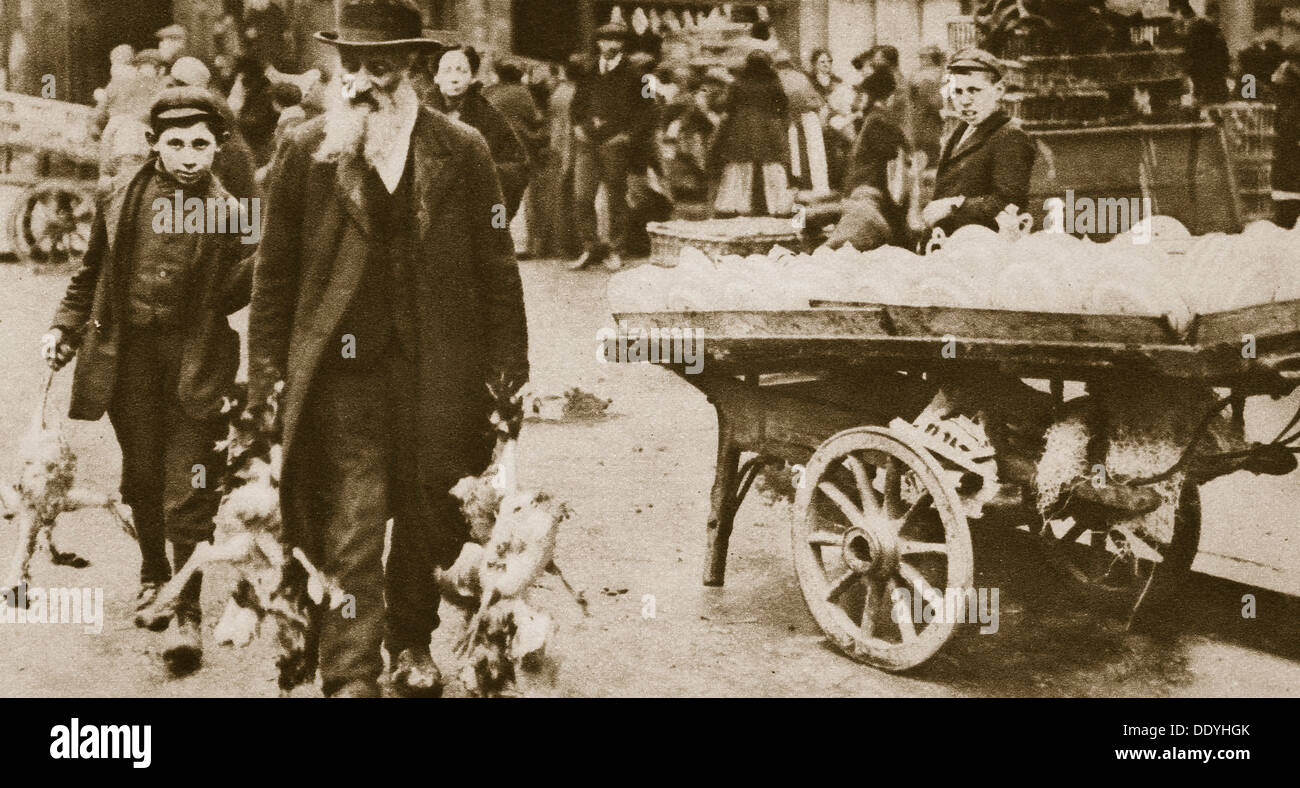 Stepney avenue -Fotos und -Bildmaterial in hoher Auflösung – Alamy