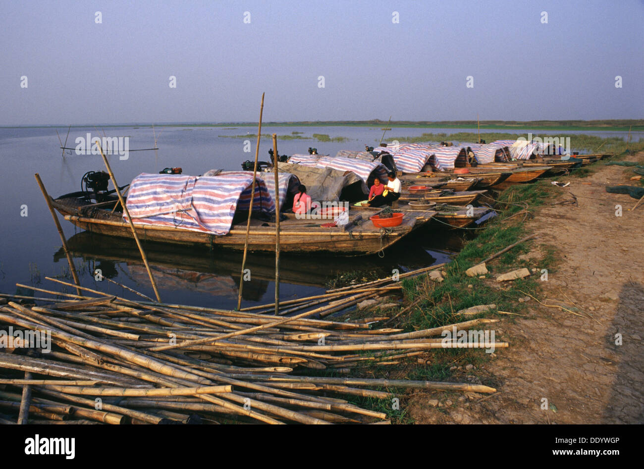 Changjiang holz -Fotos und -Bildmaterial in hoher Auflösung – Alamy