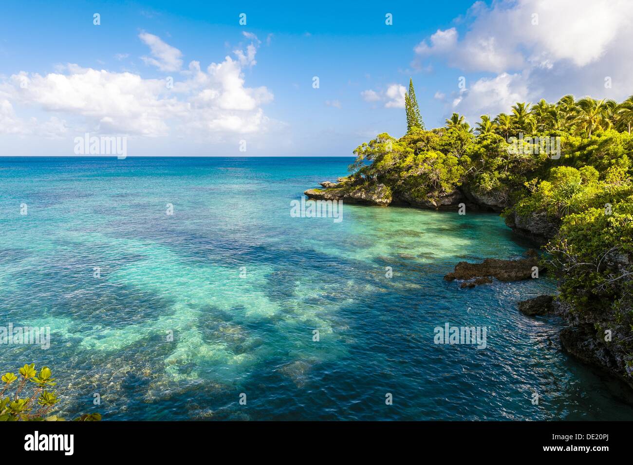 Tadine Bay Mare Stockfotos und -bilder Kaufen - Alamy