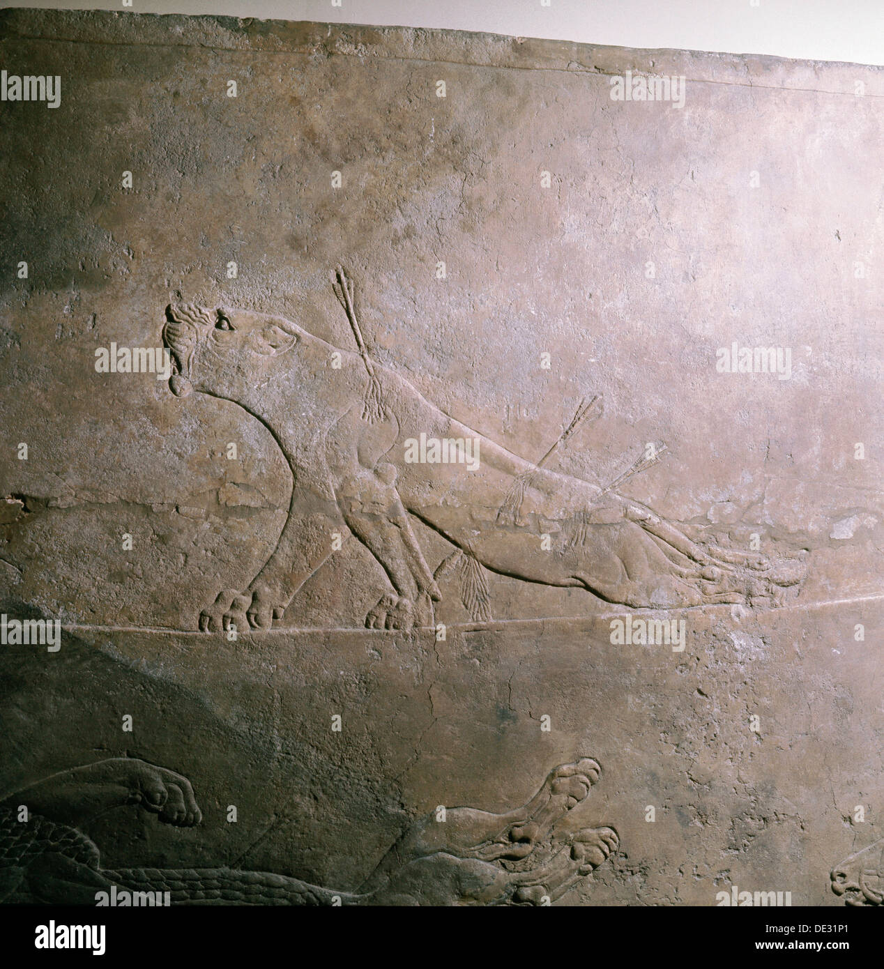 Assyrian relief palace ashurbanipal -Fotos und -Bildmaterial in hoher ...