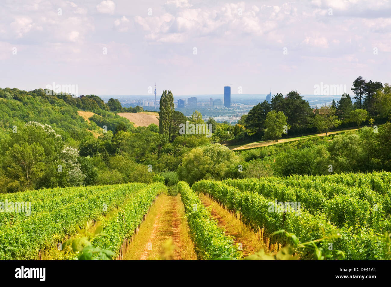 Wien am hof -Fotos und -Bildmaterial in hoher Auflösung – Alamy