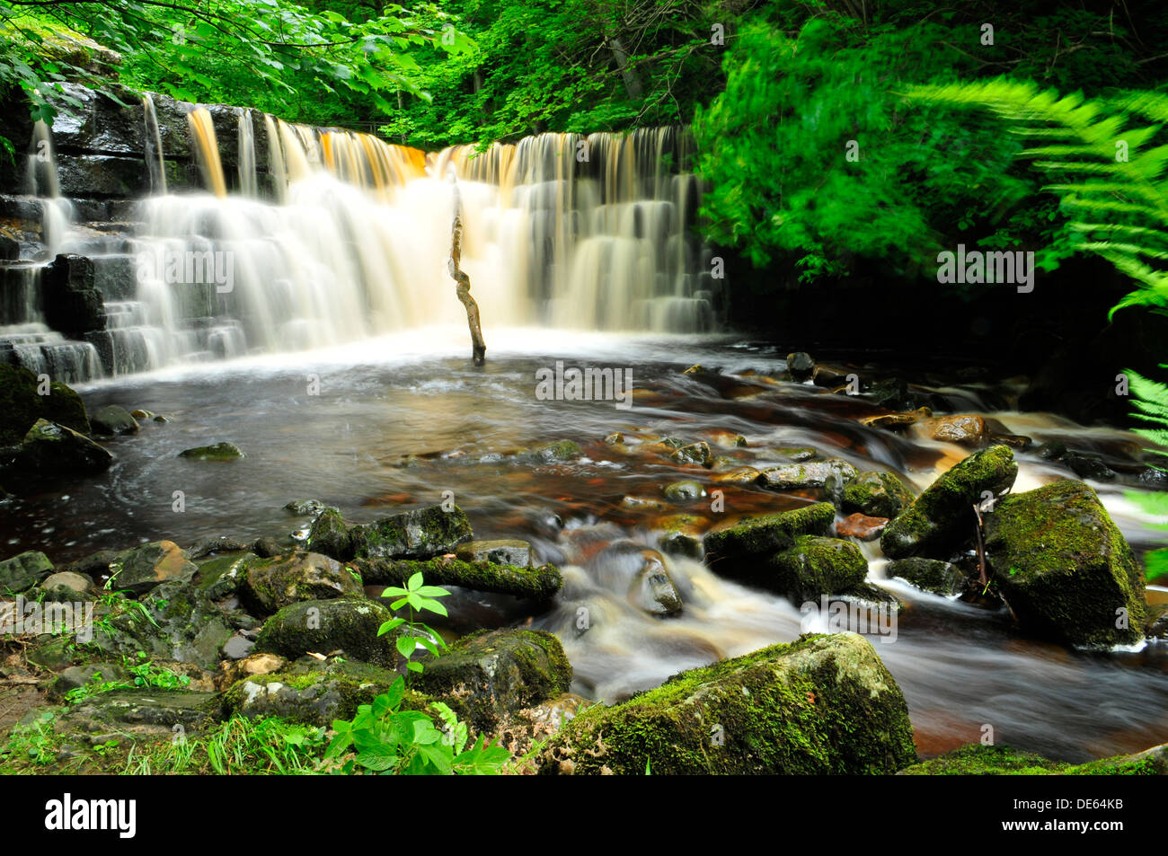 Wasserfall Wald 2 Stockfotografie - Alamy
