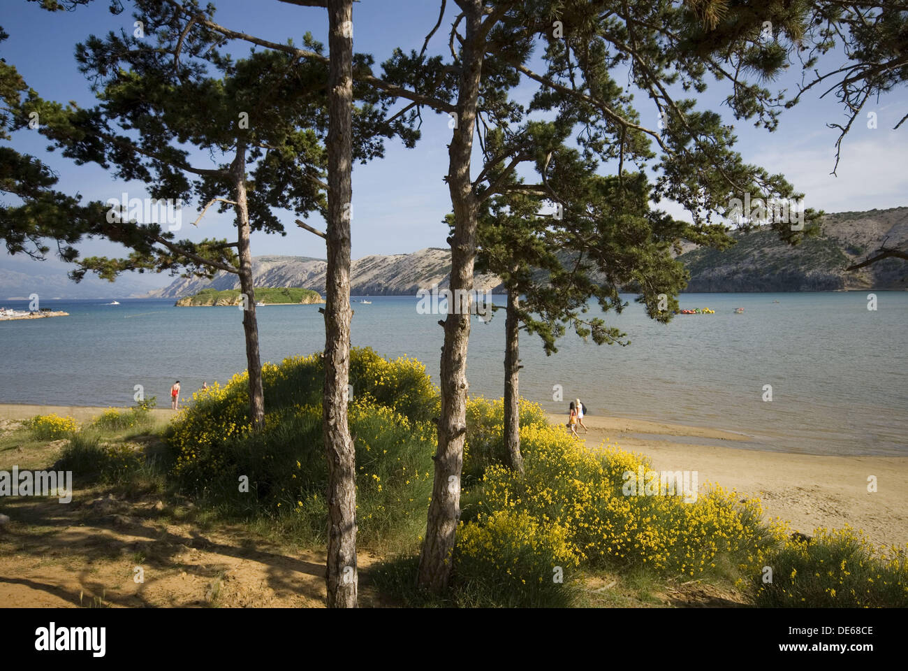 Rajska Plaza, Halbinsel Lopar, Insel Rab, Kroatien Stockfotografie - Alamy