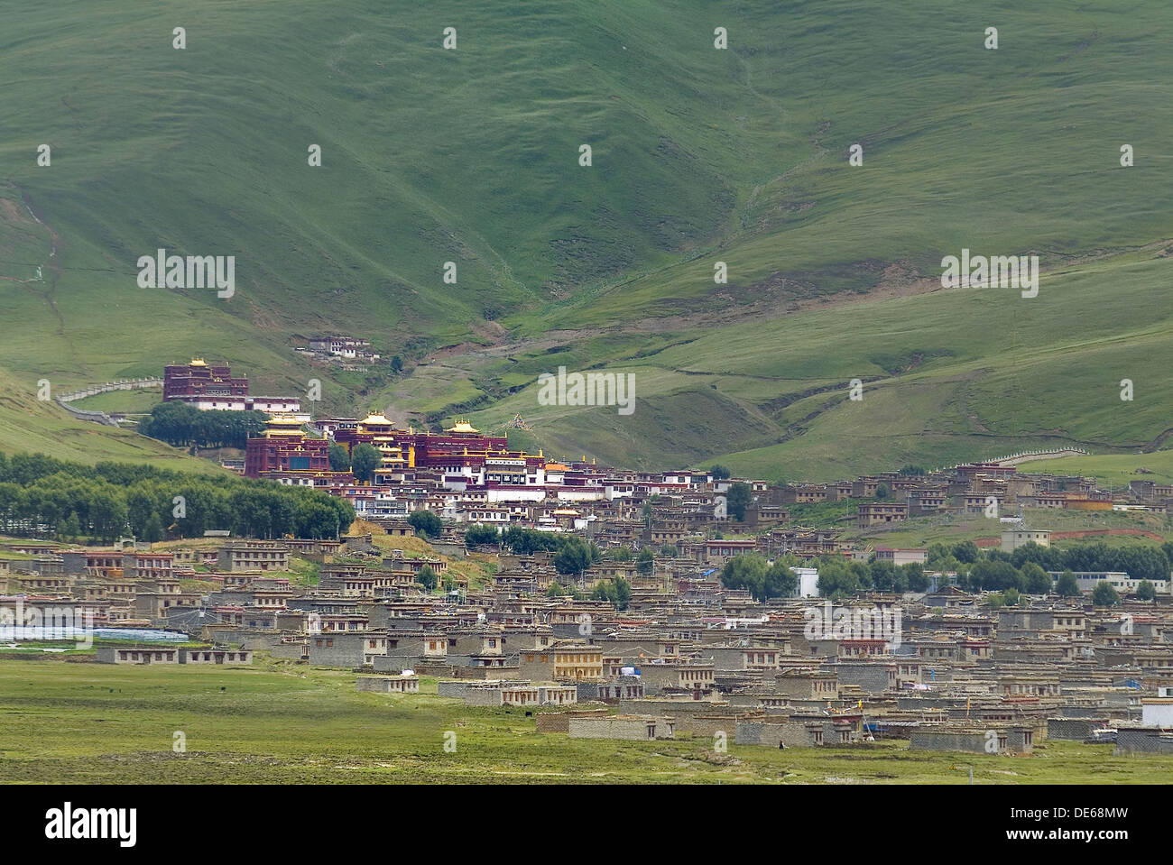 Lithang, Sichuan, China Stockfotografie - Alamy
