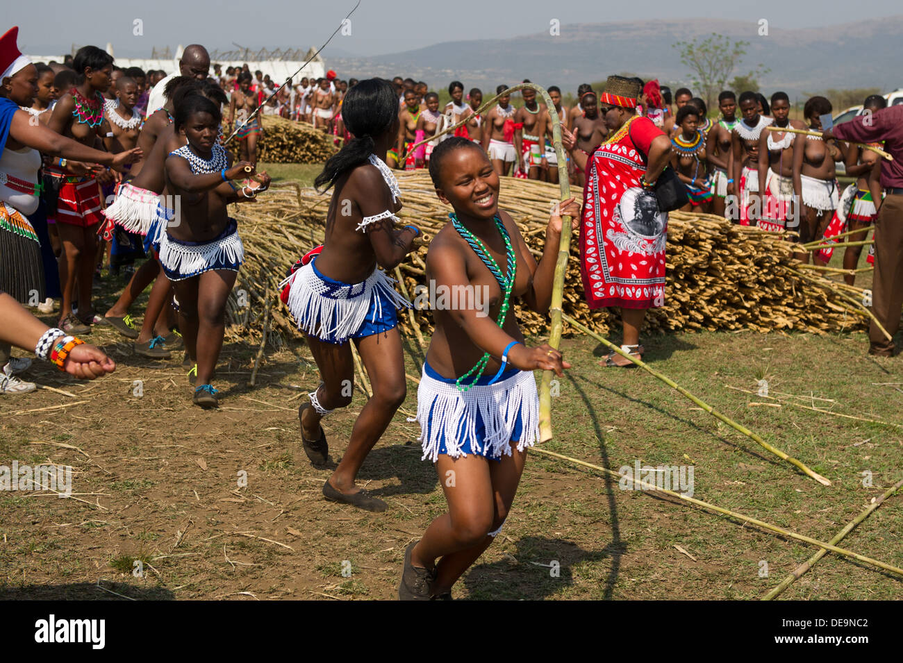Zulu Jungfrauen liefern Schilf Stöcke an den König Zulu Reed Dance im ...