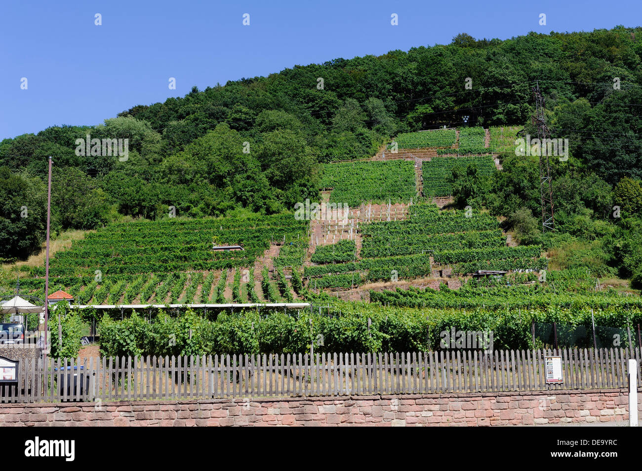 Erlenbach main -Fotos und -Bildmaterial in hoher Auflösung – Alamy