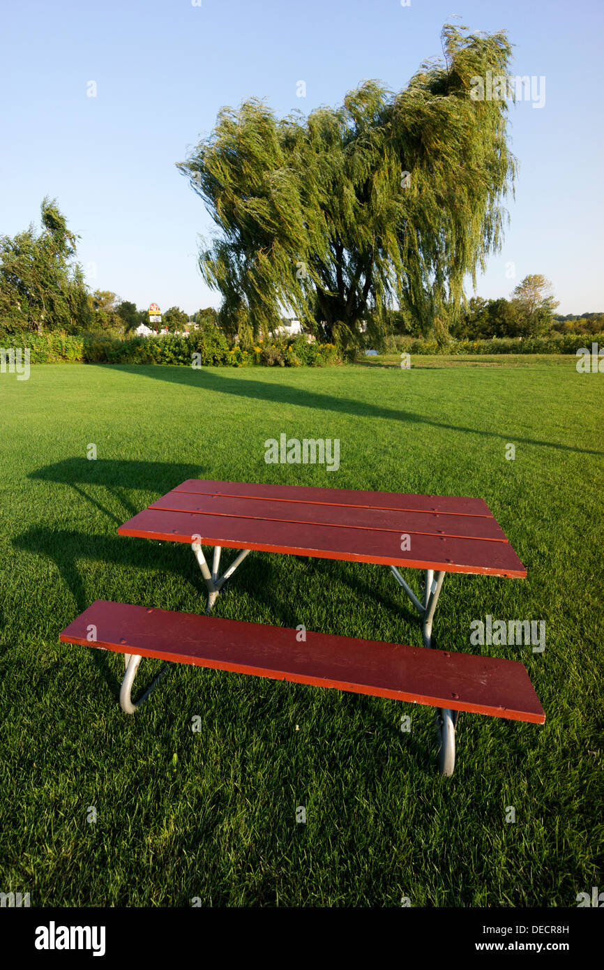 Weidenbaum hintergrund -Fotos und -Bildmaterial in hoher Auflösung – Alamy