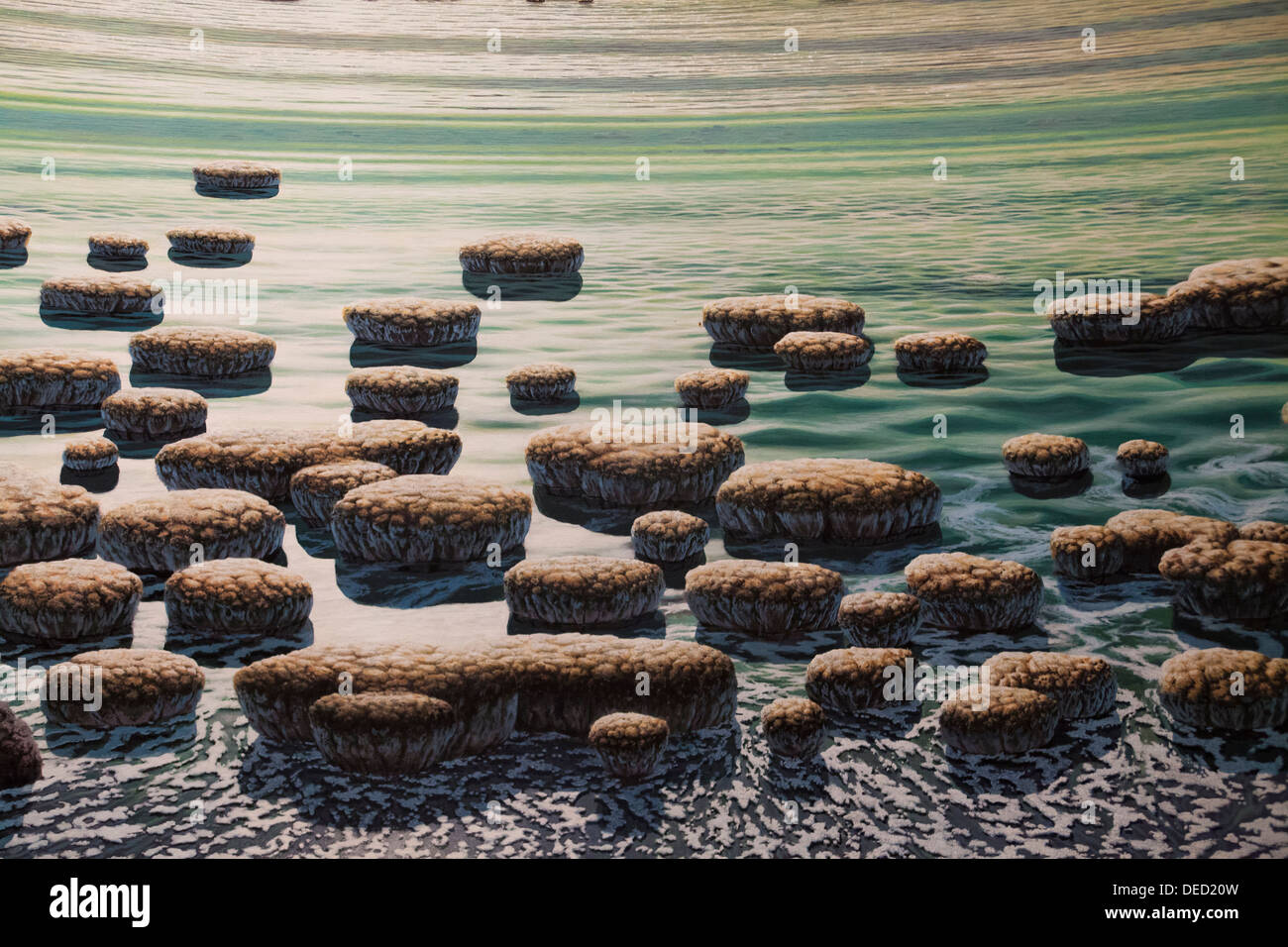 Geologic history -Fotos und -Bildmaterial in hoher Auflösung – Alamy