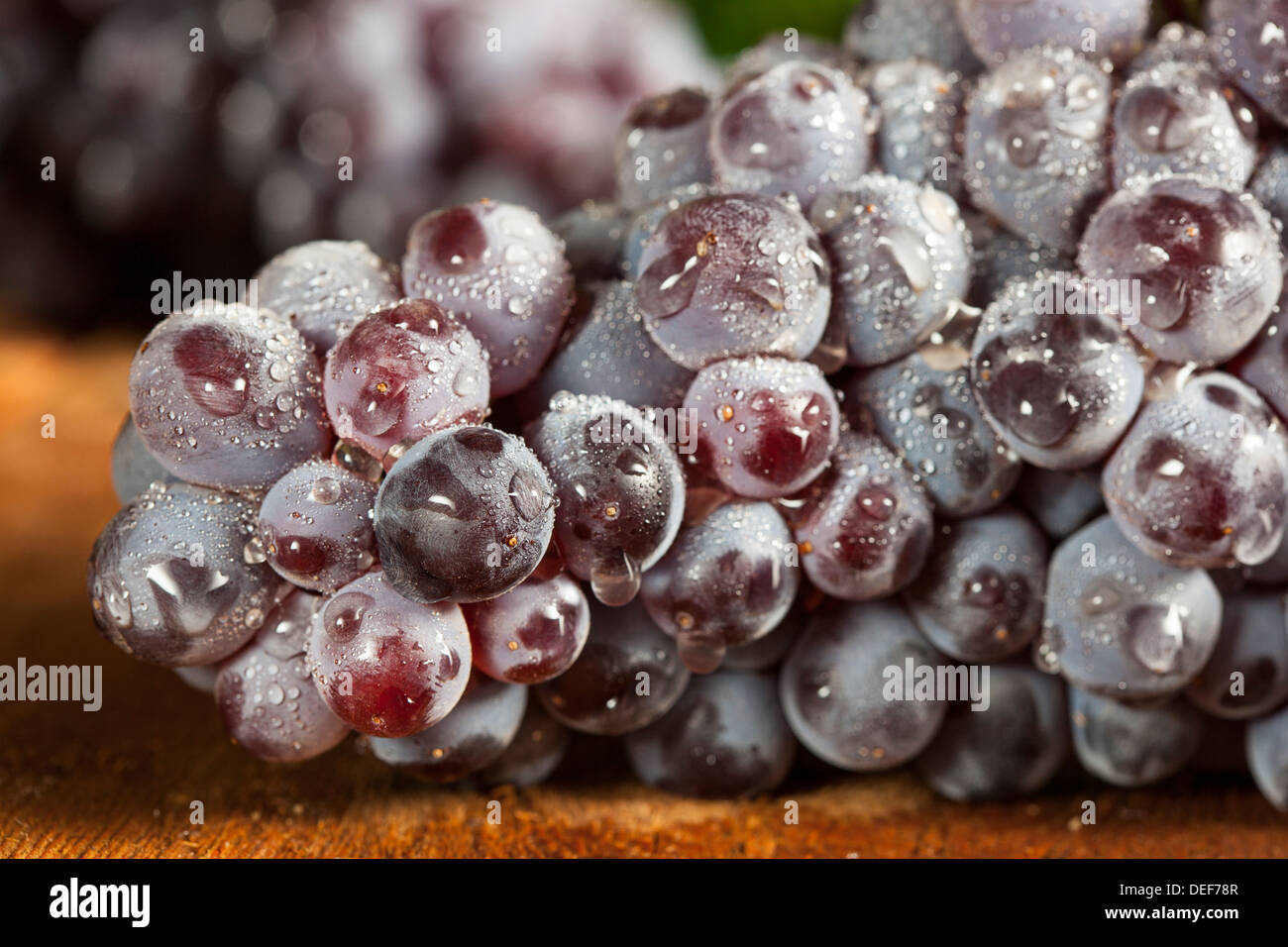 Wet grapes -Fotos und -Bildmaterial in hoher Auflösung - Seite 2 - Alamy