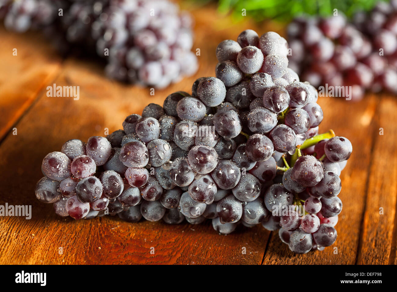 Nasse trauben -Fotos und -Bildmaterial in hoher Auflösung – Alamy