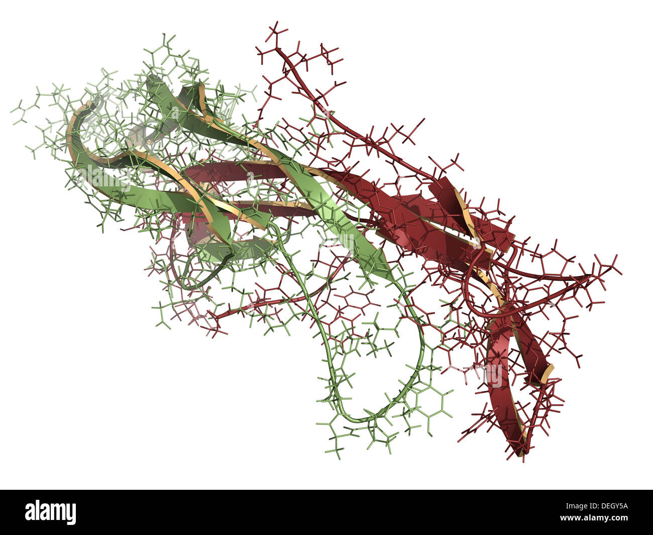 Follikelstimulierendes hormon -Fotos und -Bildmaterial in hoher ...