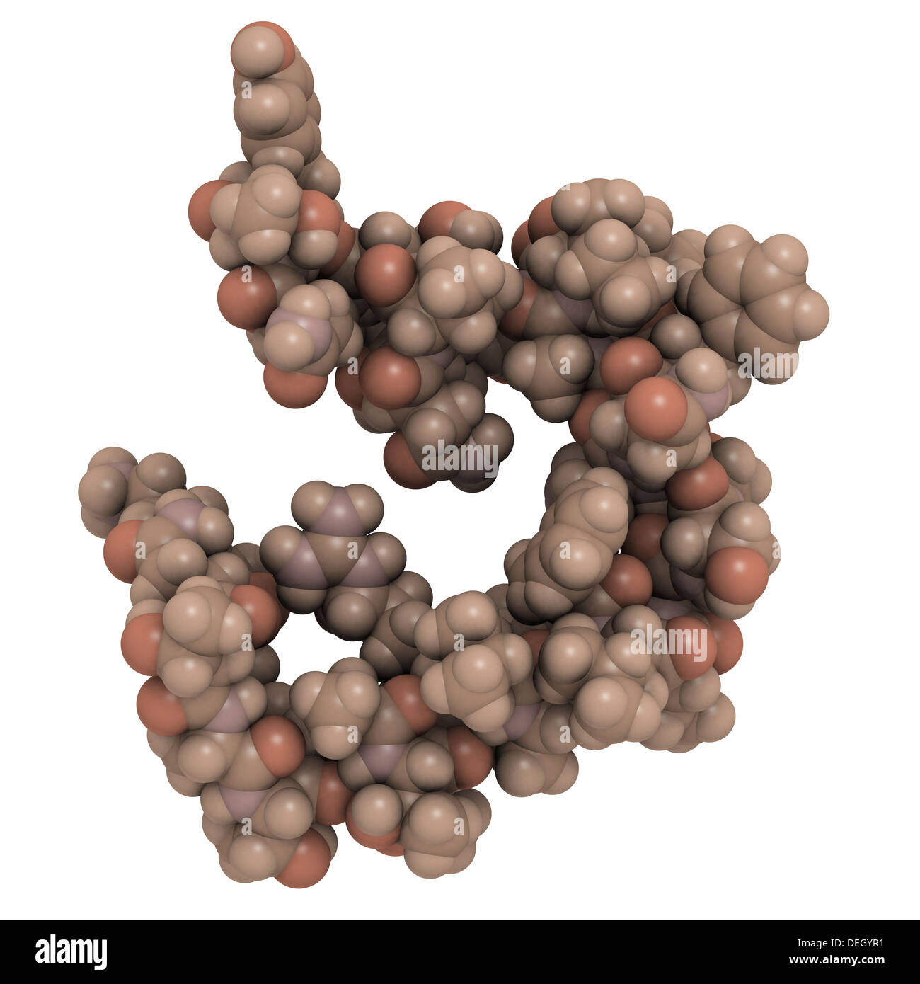 Pankreas polypeptid -Fotos und -Bildmaterial in hoher Auflösung – Alamy