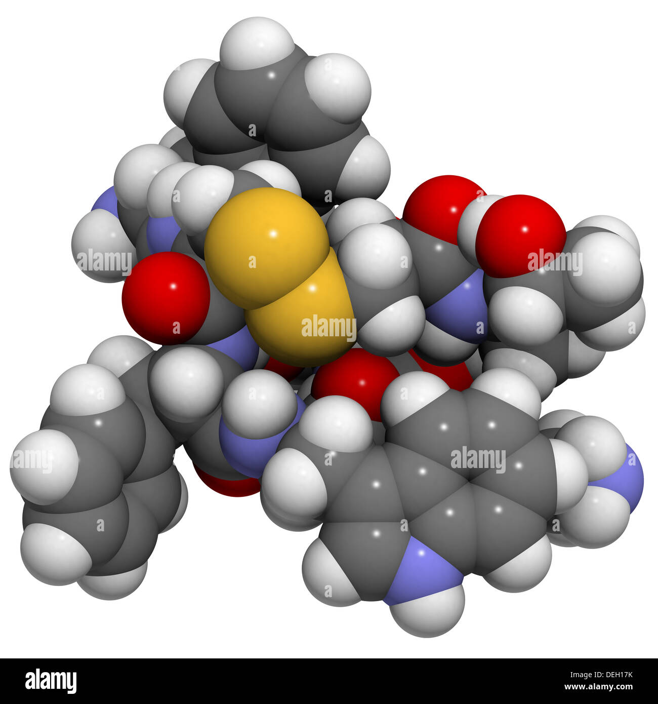 Ordnungszahl hormon -Fotos und -Bildmaterial in hoher Auflösung – Alamy