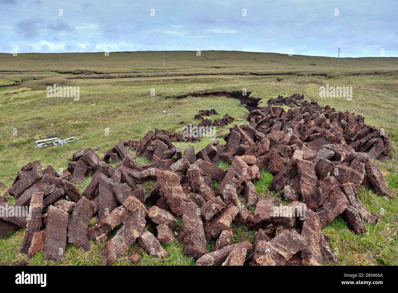 Torf verwenden -Fotos und -Bildmaterial in hoher Auflösung – Alamy