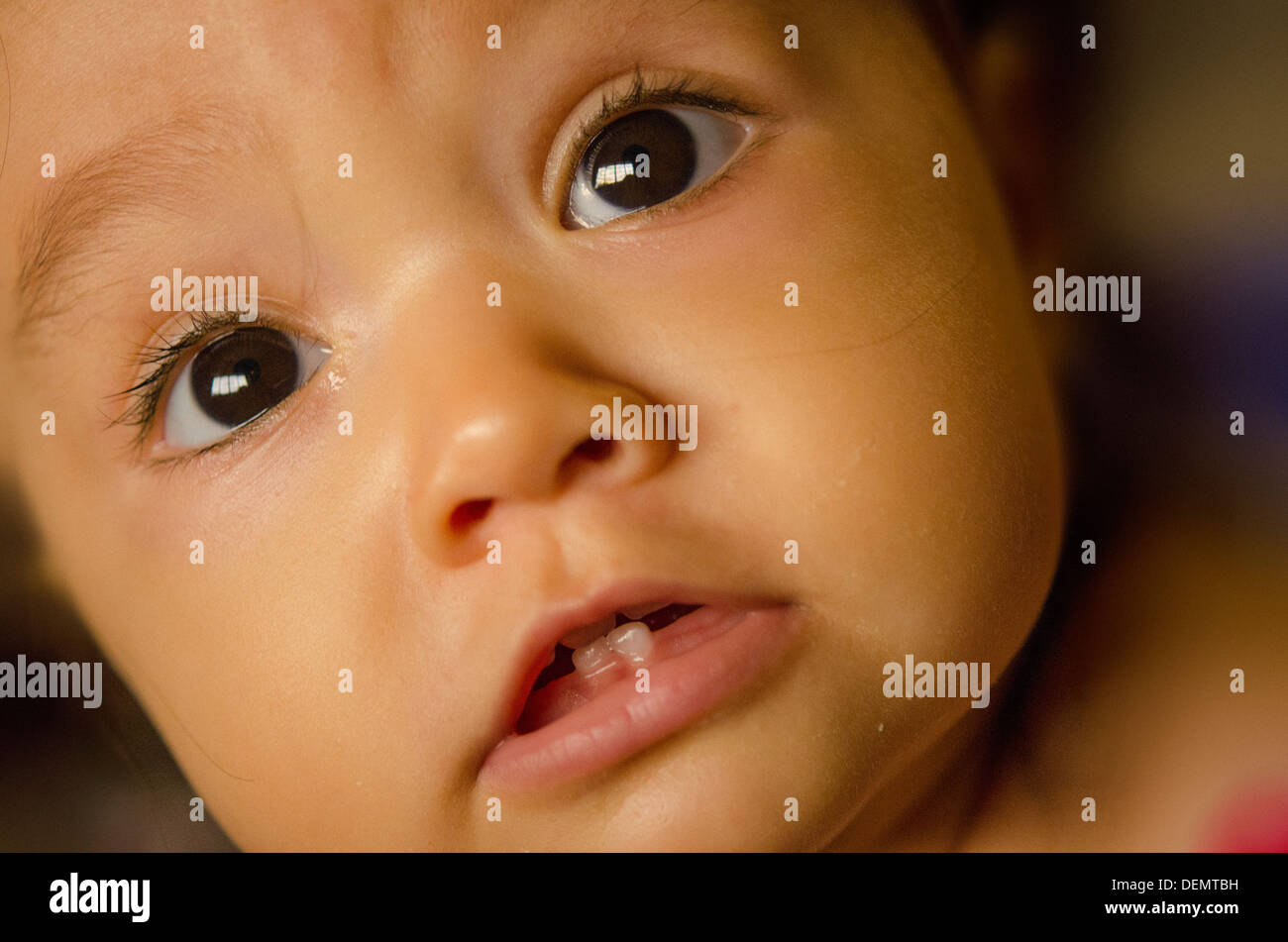 Teething baby -Fotos und -Bildmaterial in hoher Auflösung – Alamy