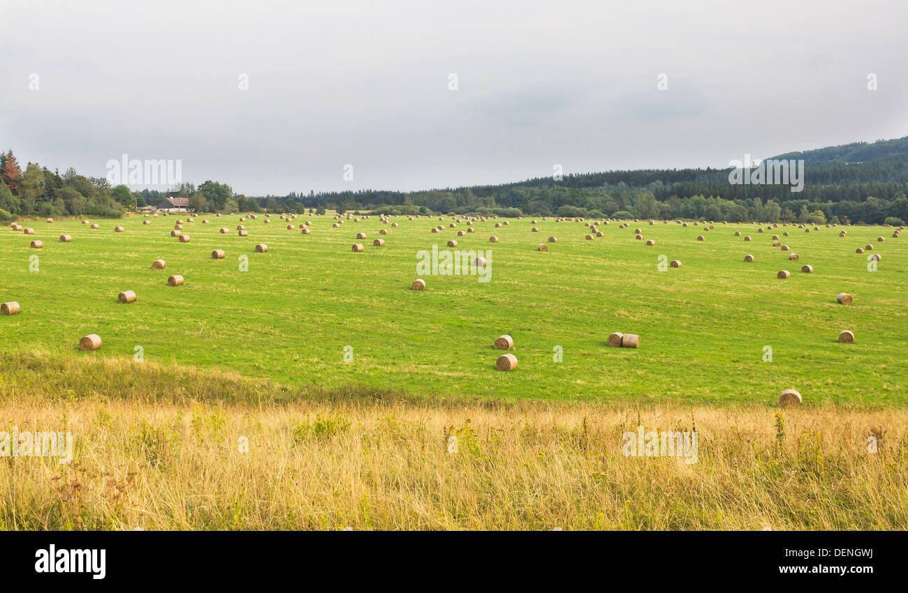 Heuhaufen auf einem feld -Fotos und -Bildmaterial in hoher Auflösung – Alamy