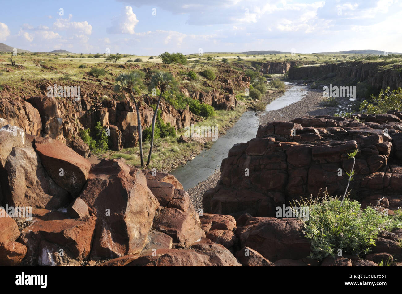 Uniab-River-Canyon, Palmwag, Damaraland, Namibia Stockfotografie - Alamy