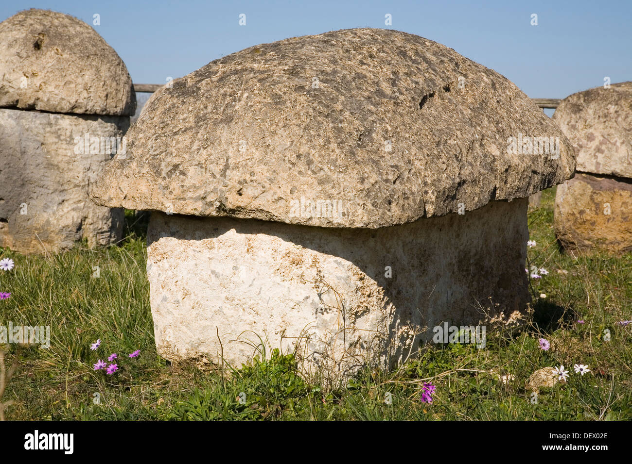 Nekropole von tarquinia -Fotos und -Bildmaterial in hoher Auflösung – Alamy