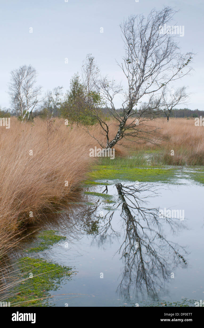 Emsland district -Fotos und -Bildmaterial in hoher Auflösung – Alamy