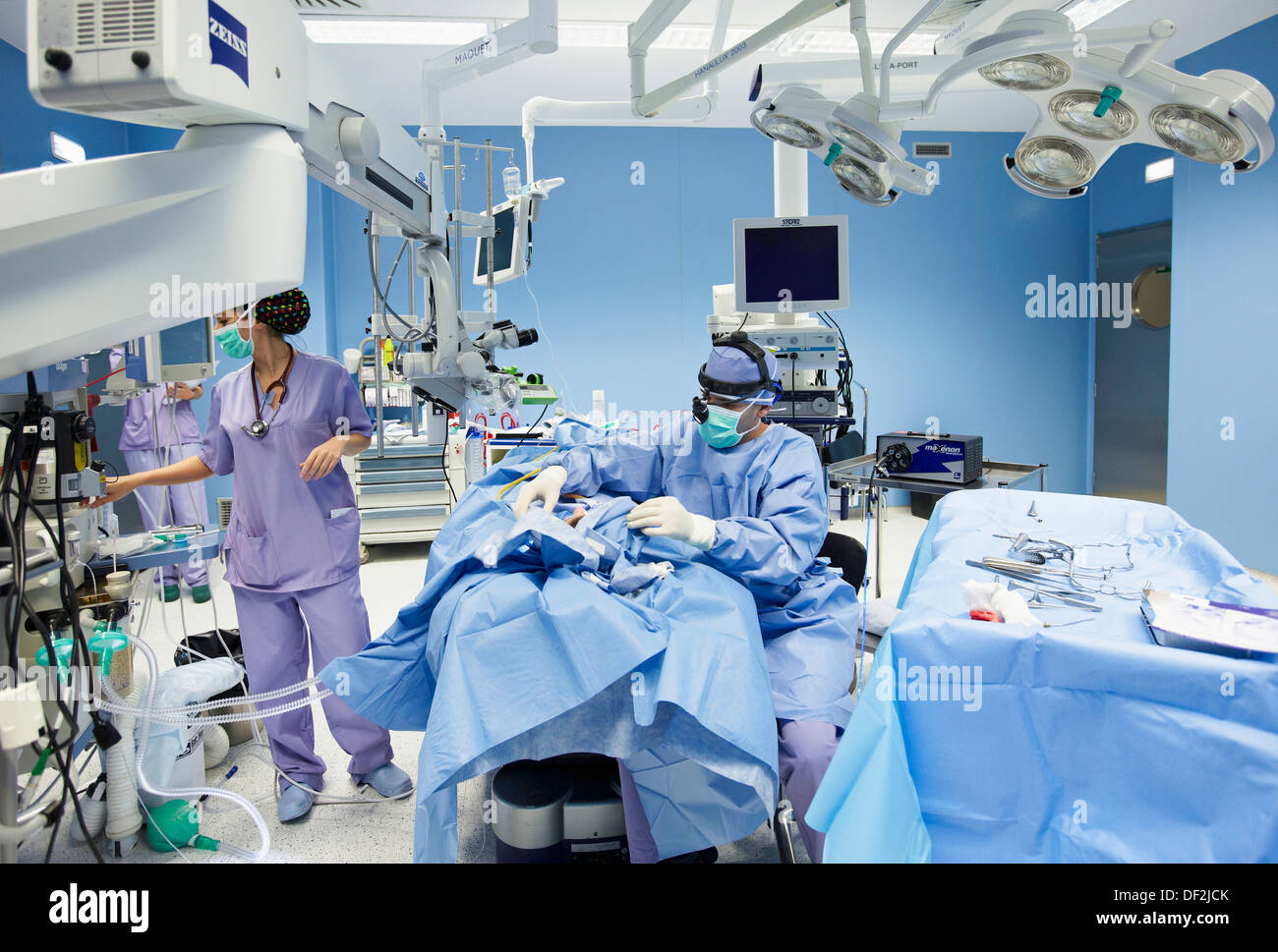 Menschliche polypen -Fotos und -Bildmaterial in hoher Auflösung – Alamy