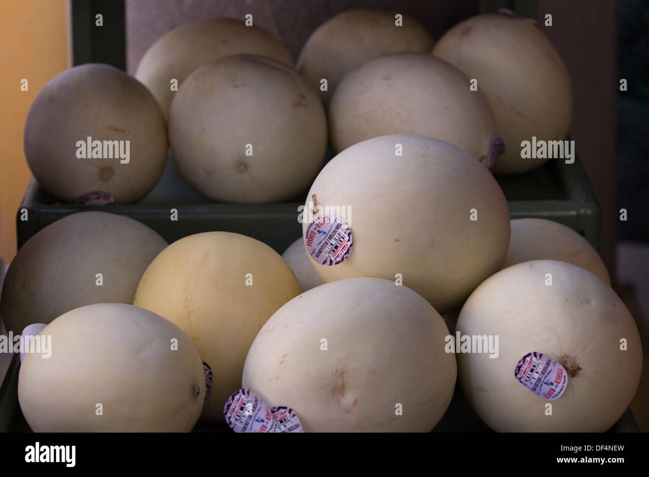 Honey dew -Fotos und -Bildmaterial in hoher Auflösung – Alamy