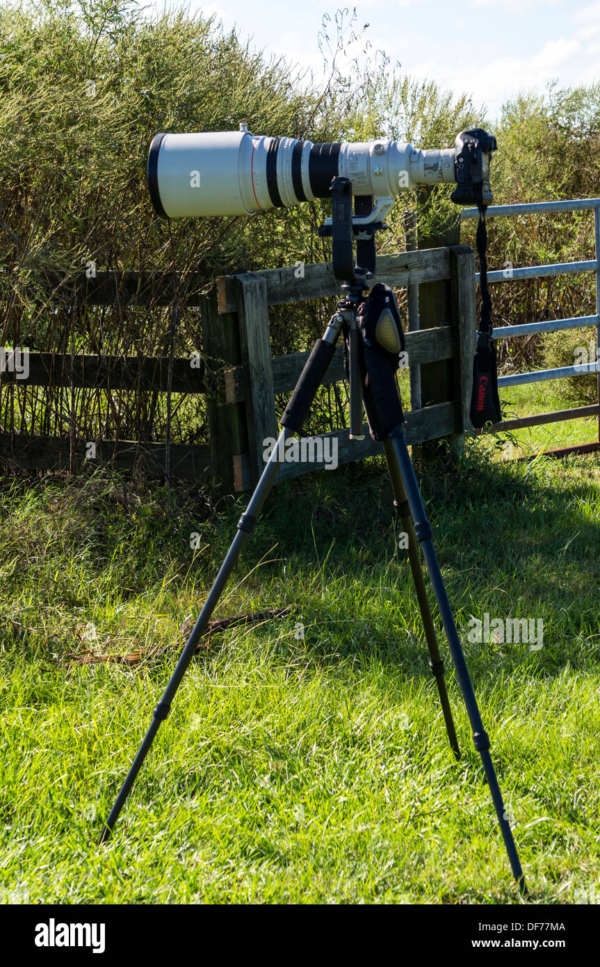 Fotografen stativkamera -Fotos und -Bildmaterial in hoher Auflösung – Alamy