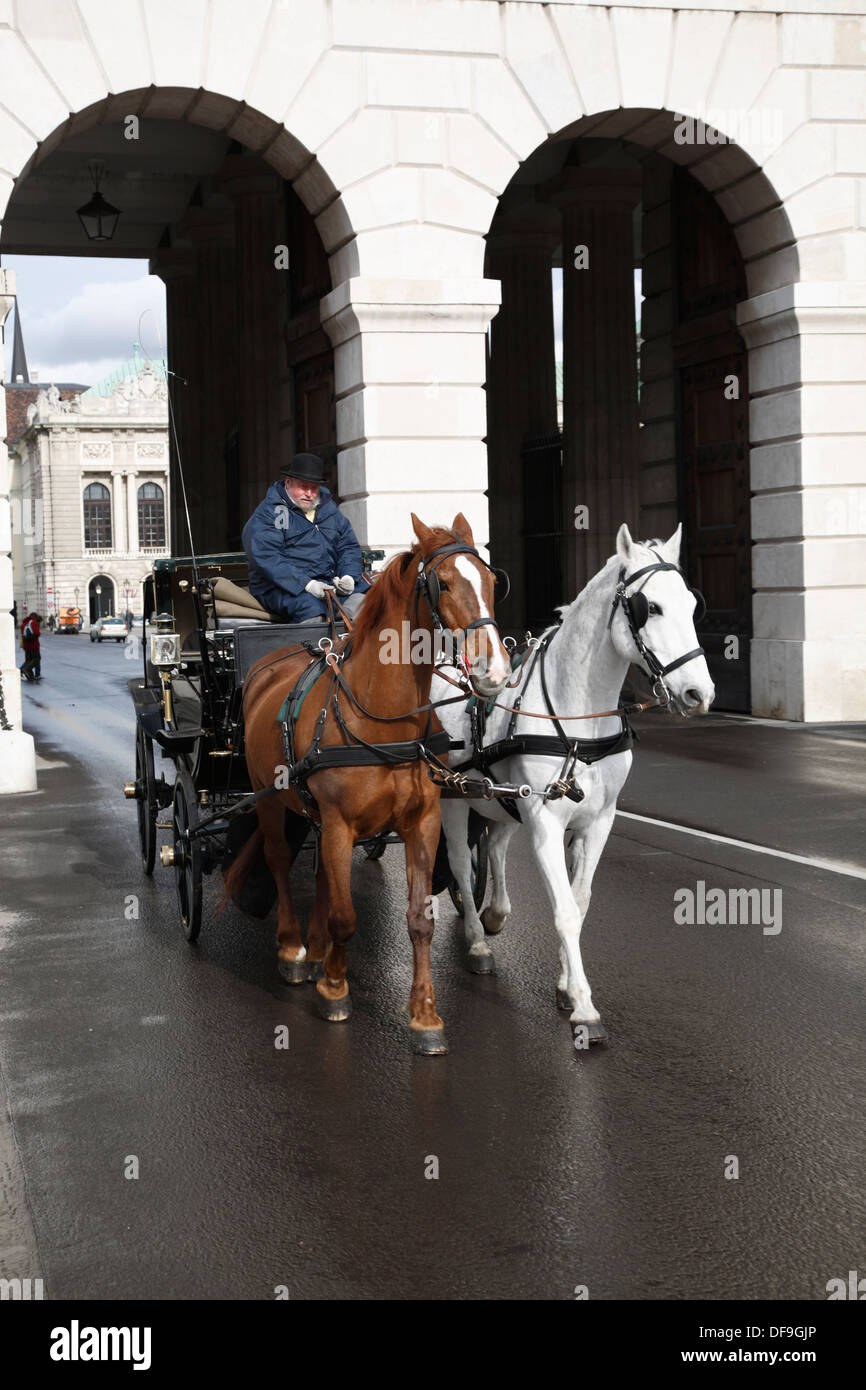 Pferde fiaker wien österreich fiaker -Fotos und -Bildmaterial in hoher ...