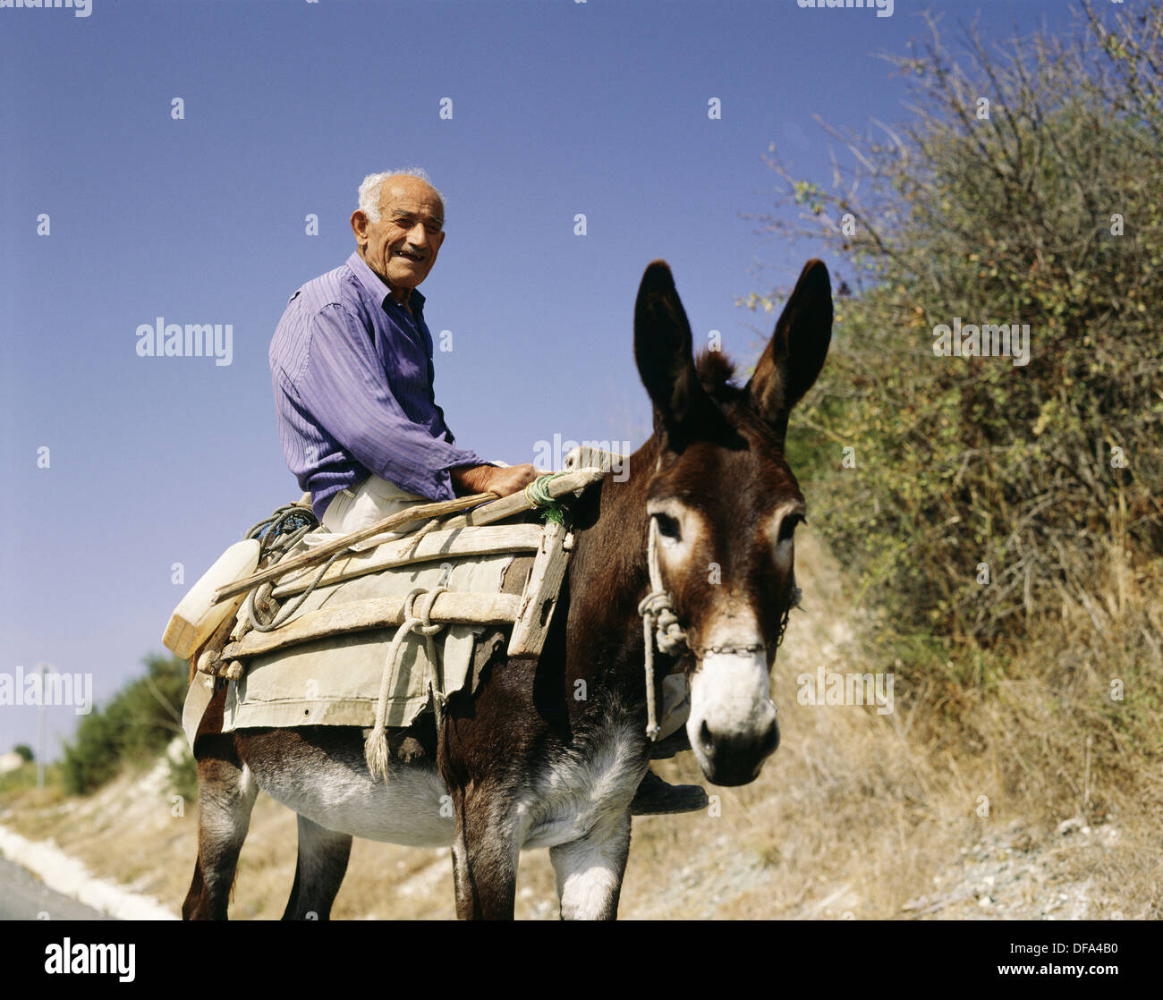 Esel mann -Fotos und -Bildmaterial in hoher Auflösung – Alamy