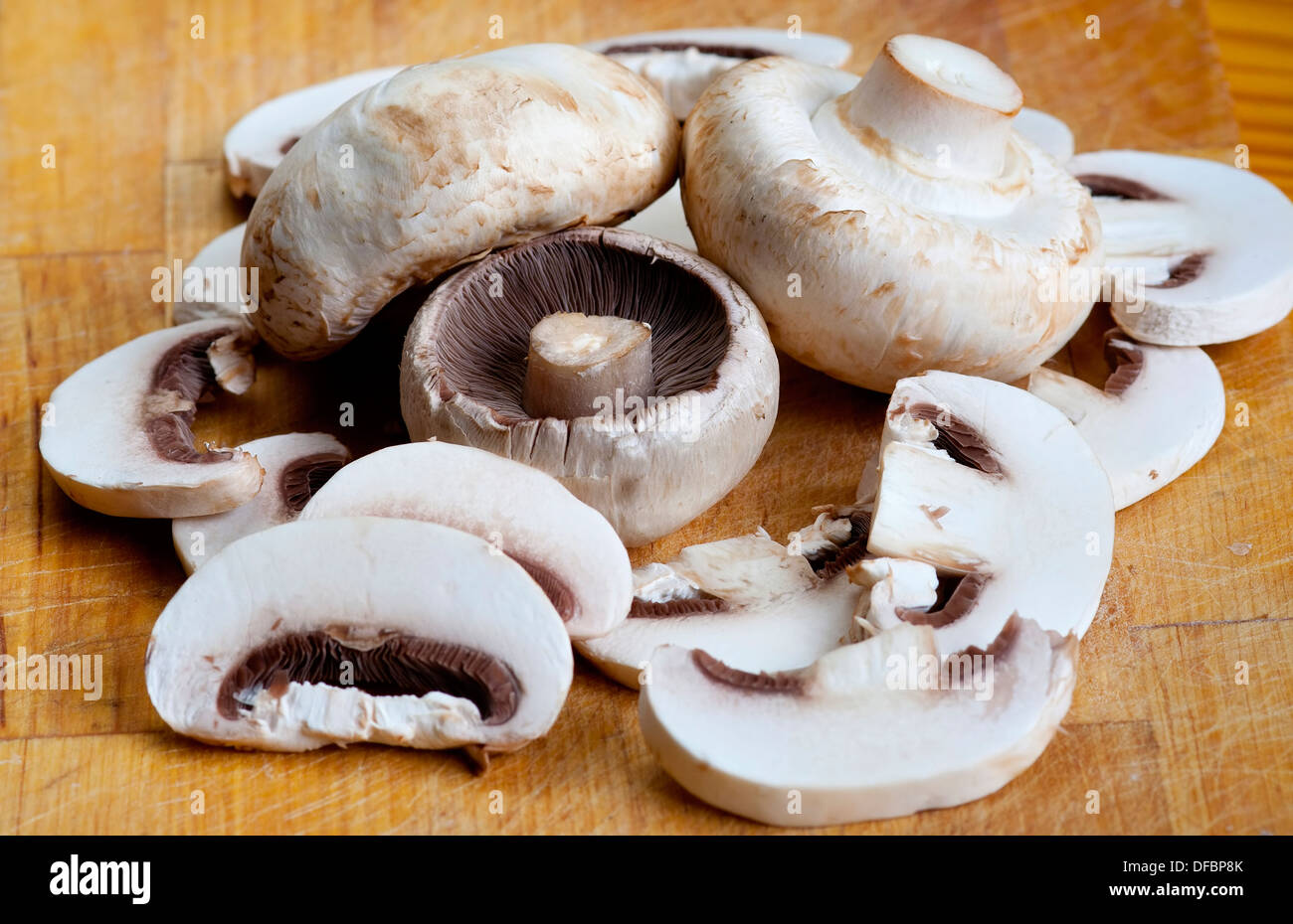 Pilz champignon -Fotos und -Bildmaterial in hoher Auflösung – Alamy