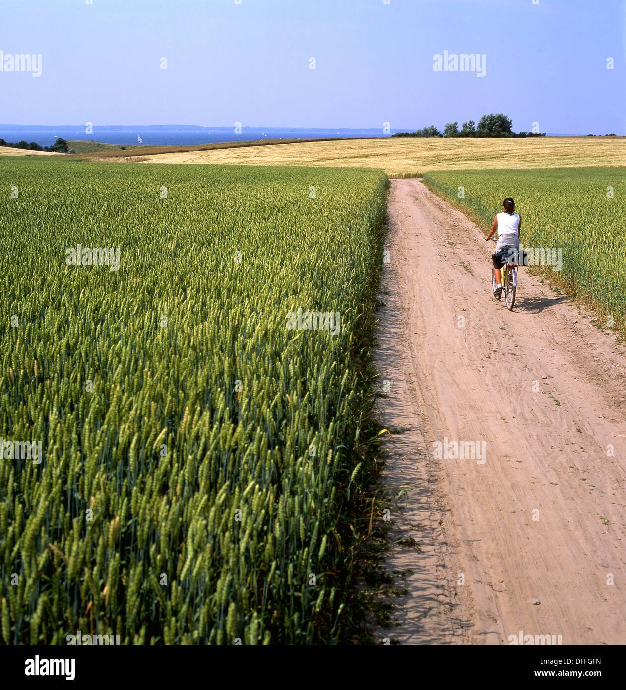 Insel ven schweden -Fotos und -Bildmaterial in hoher Auflösung – Alamy