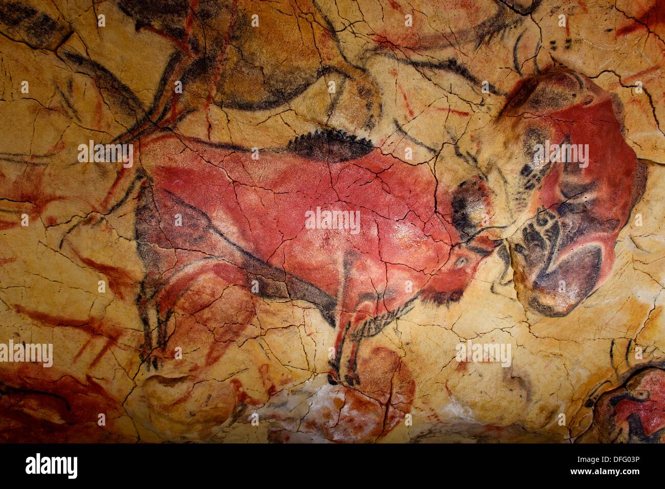 Wisente in Altamira´s Reproduktion Höhle Neo Cave Altsteinzeit Höhle ...