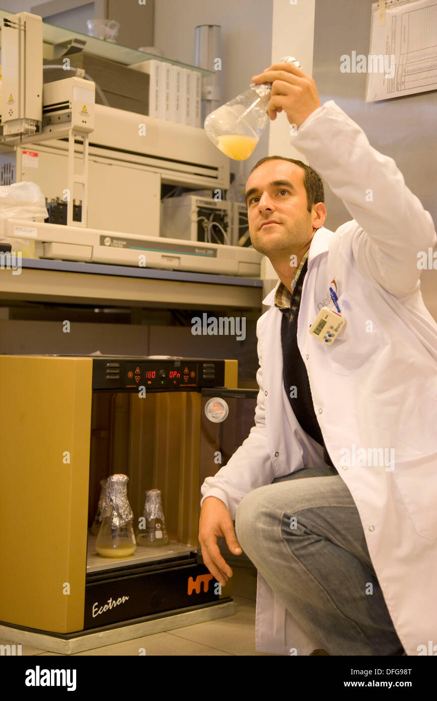 Pflanzen Sie Zellsuspension, Orbitalschüttler. Biotechnologie-Labor ...