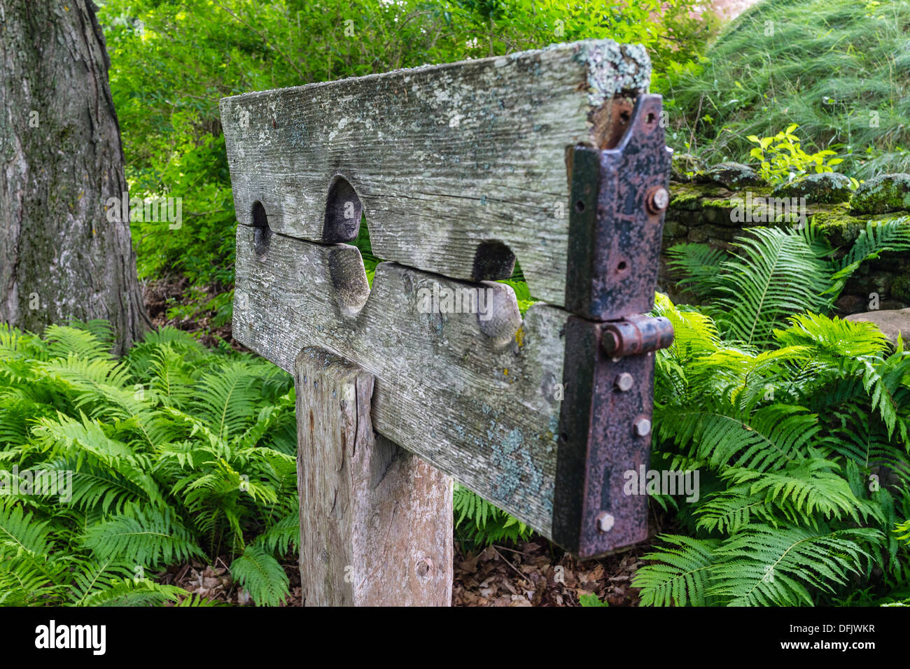 Mittelalterliche foltergeräte -Fotos und -Bildmaterial in hoher ...