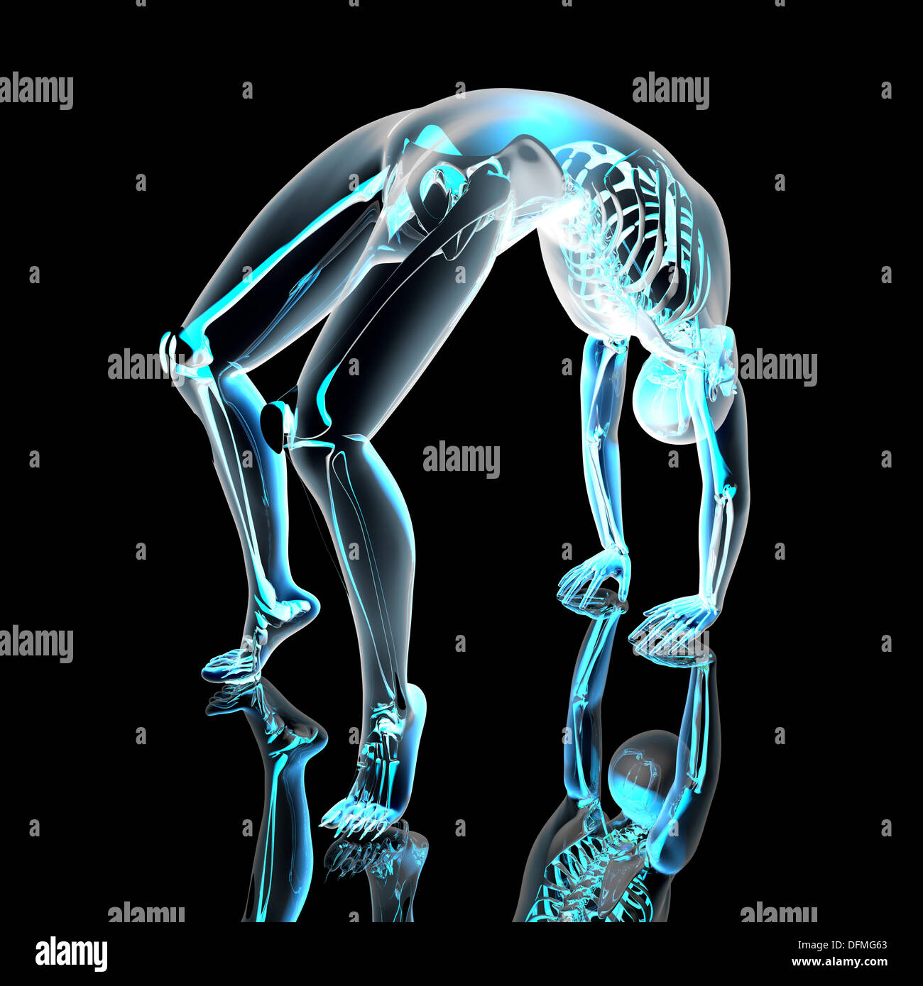 Das Yoga invertiert Bogen Pose (Urdhva Dhanurasana). 3D Illustration ...