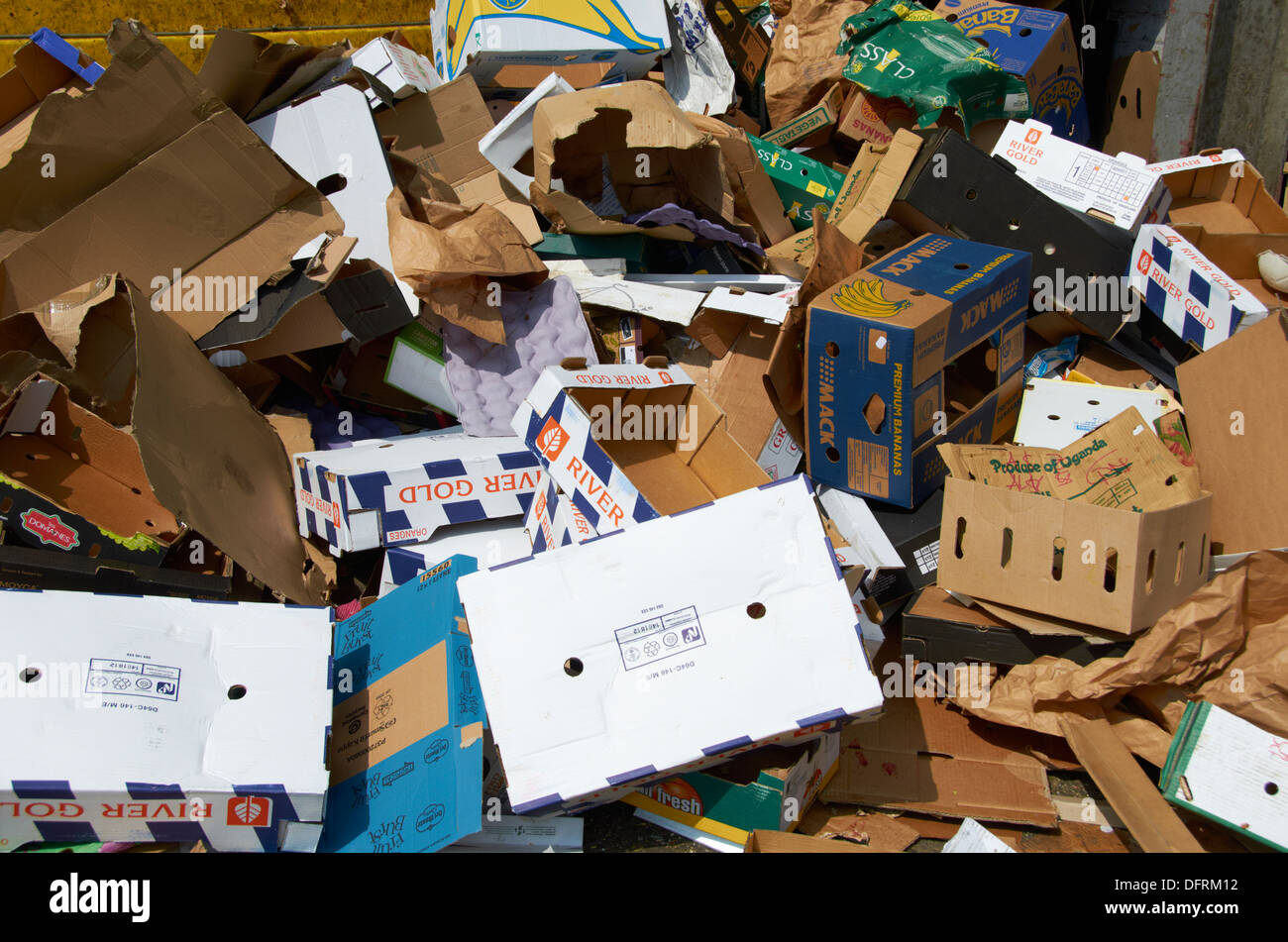Karton müll -Fotos und -Bildmaterial in hoher Auflösung – Alamy