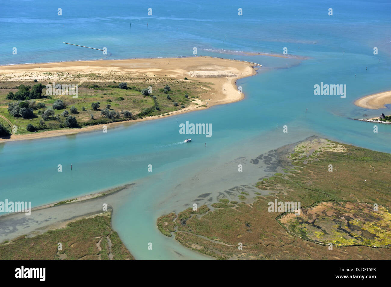 Bibione pineda -Fotos und -Bildmaterial in hoher Auflösung – Alamy
