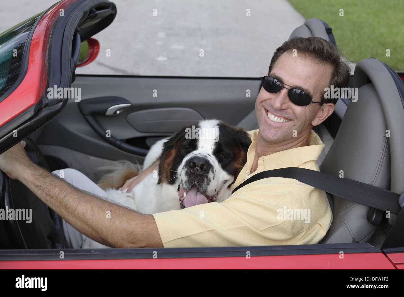 Der mann mit einem hund -Fotos und -Bildmaterial in hoher Auflösung – Alamy