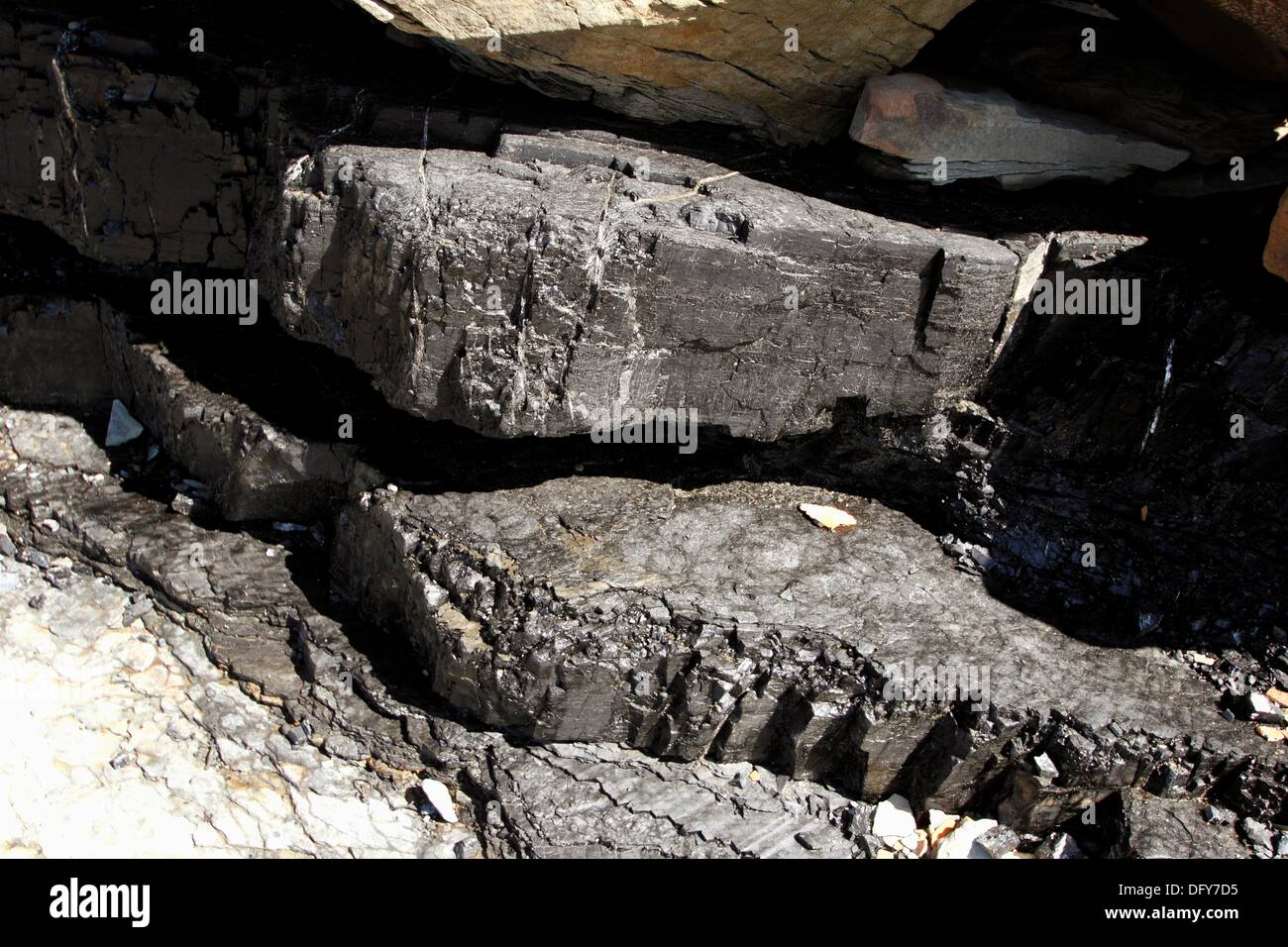 Schwarze rohkohle im bergwerk -Fotos und -Bildmaterial in hoher ...