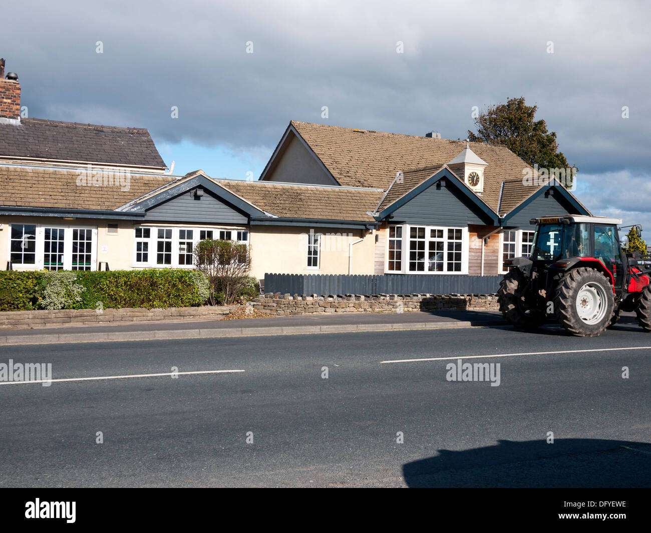 Wiggin baum -Fotos und -Bildmaterial in hoher Auflösung – Alamy
