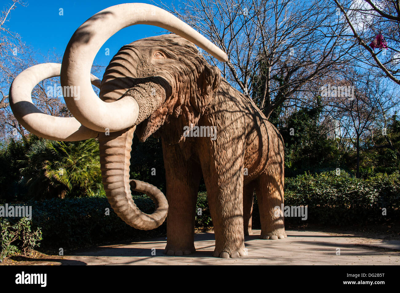 Mamut Stockfotos und -bilder Kaufen - Alamy