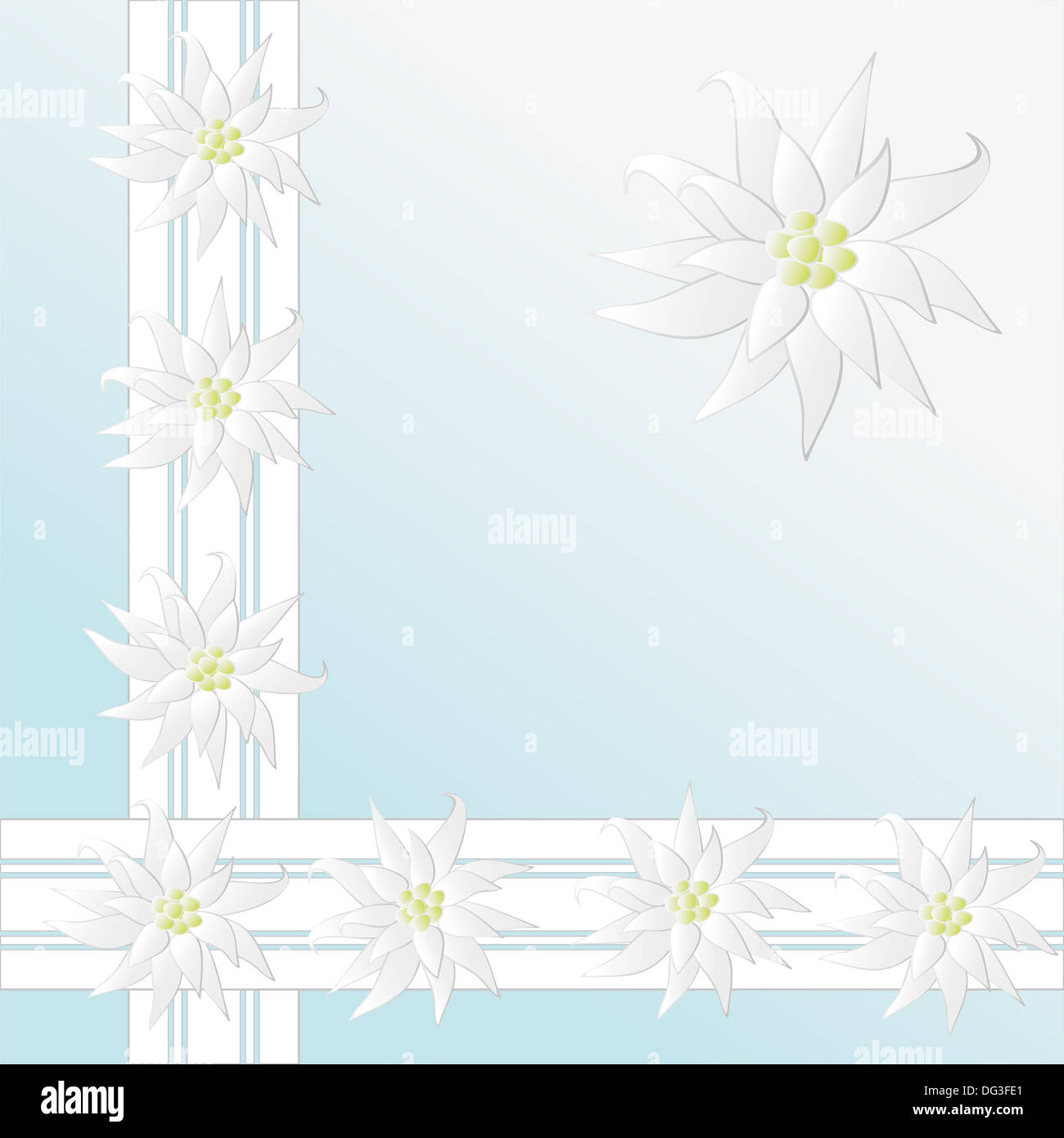 Edelweiss zeichnung -Fotos und -Bildmaterial in hoher Auflösung – Alamy